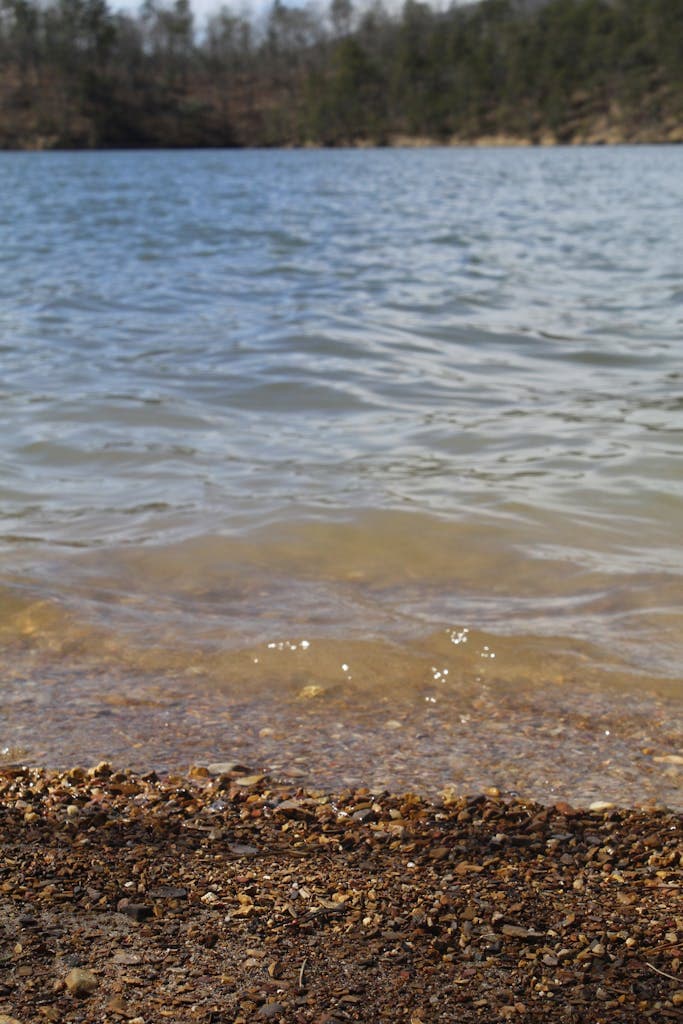 6 Best Shallow Water Lakes Safe for Young Kids